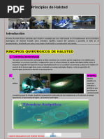 Principios Quirúrgicos de Halsted | PDF | Cirugía | Esterilización (Microbiología)