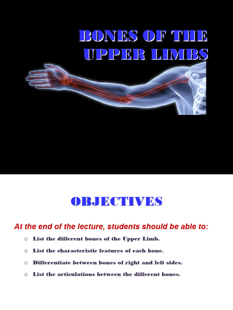 1-Bones of Upper Limb | PDF | Elbow | Hand