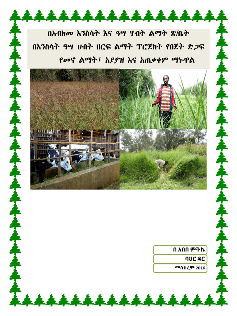2016 Feed Manual Abebe Mitikie | PDF