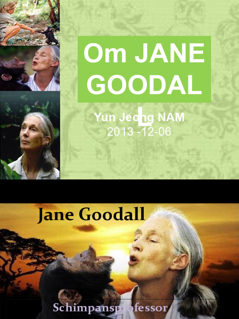 Om Jane Goodall På Svenska | PDF
