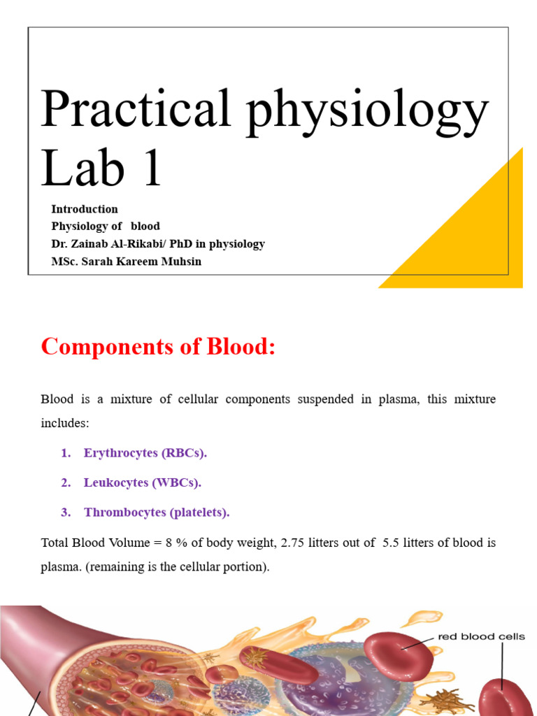 Lab 1 blood | PDF | Blood | Blood Plasma
