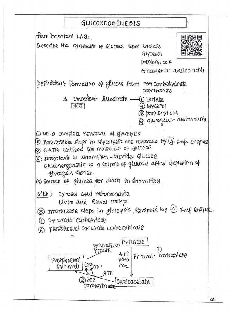 Biochemistry-Rapid-Revision-Handwritten-Notes-2nbsped 2 | PDF