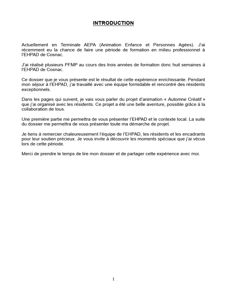 Dossier Rapport de Stage E2 Emre | PDF