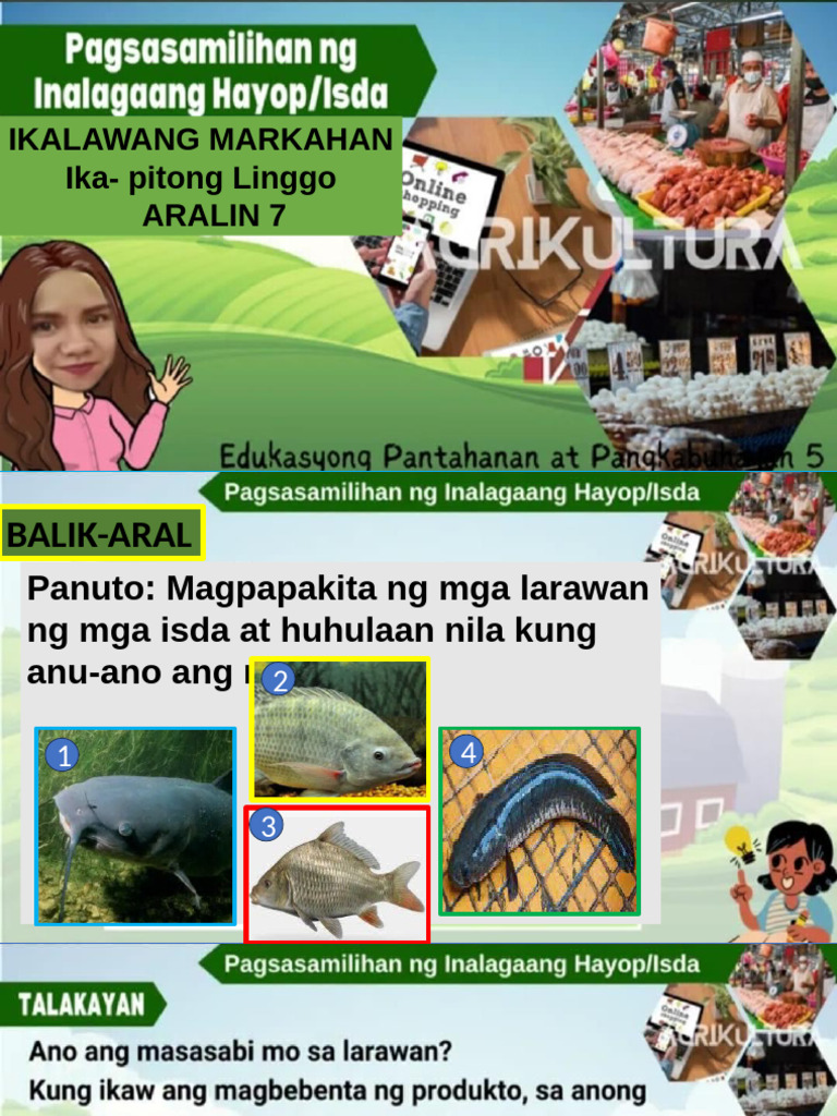 Epp Week 7 Pagsasapamilihan NG Alagang Hayop o Isda | PDF