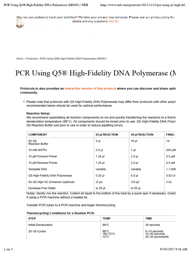 Neb Q5 | PDF | Polymerase Chain Reaction | Taq Polymerase
