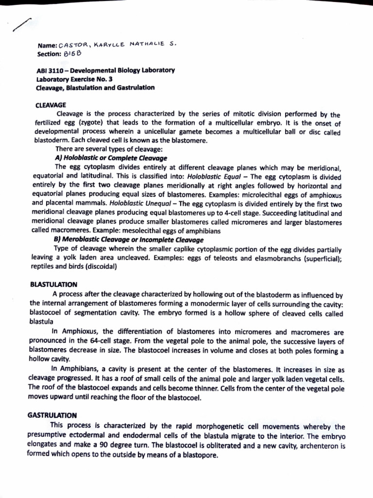 Lab Exercise5 Blastula and Gastrula | PDF | Developmental Biology | Reproduction