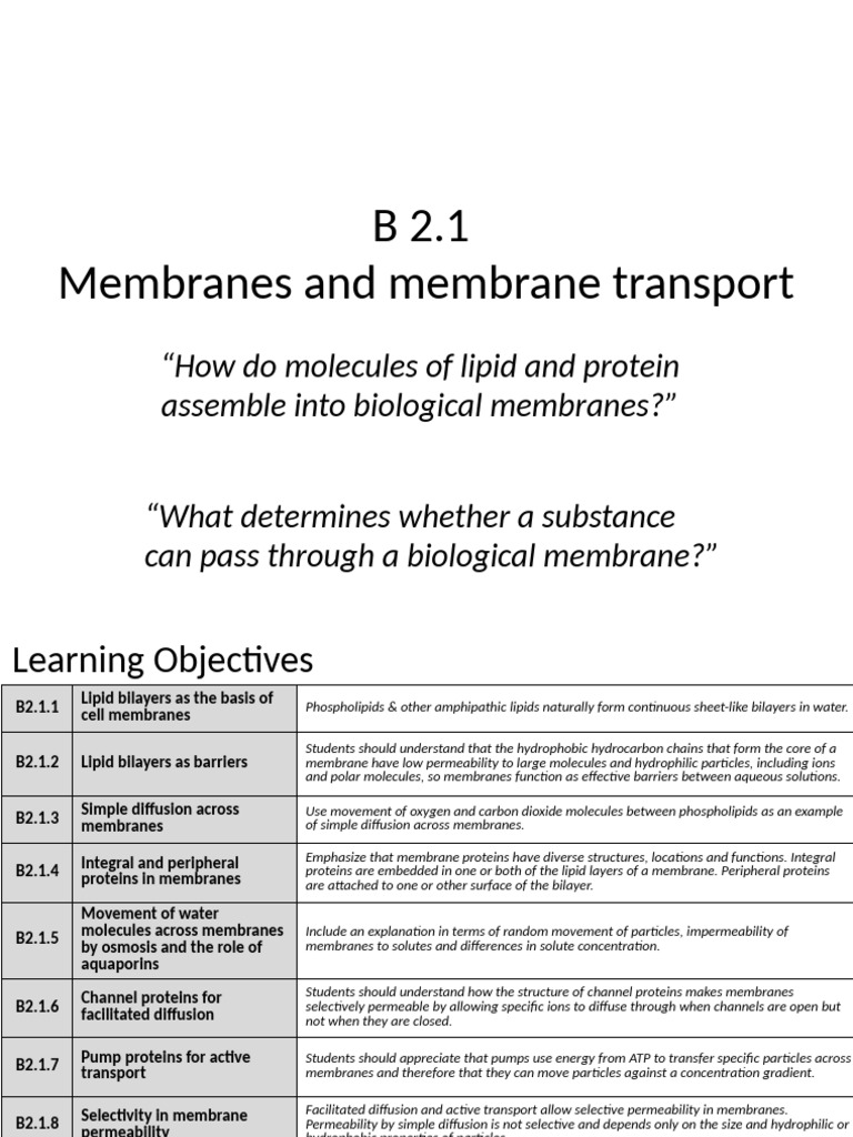 B 2.1 SL Membranes and Transport | PDF | Cell Membrane | Lipid Bilayer