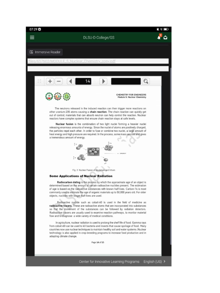 Nuclear System | PDF