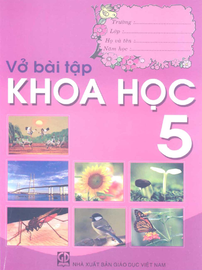 SBT KHTN 5 KNTT | PDF