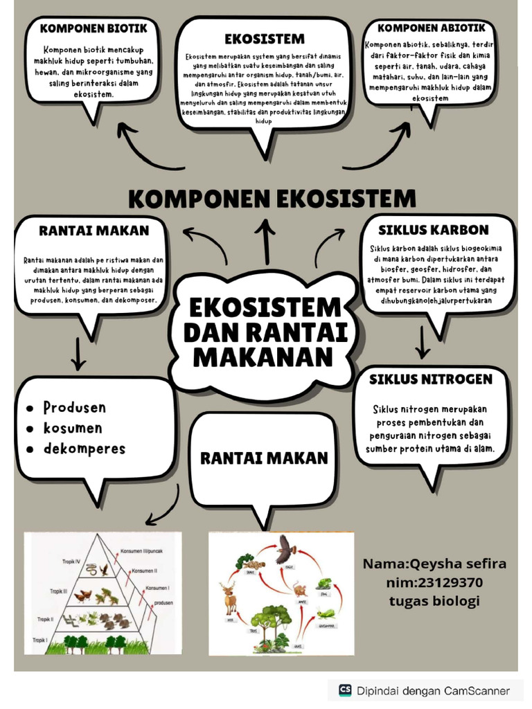 Mind Map Bio | PDF