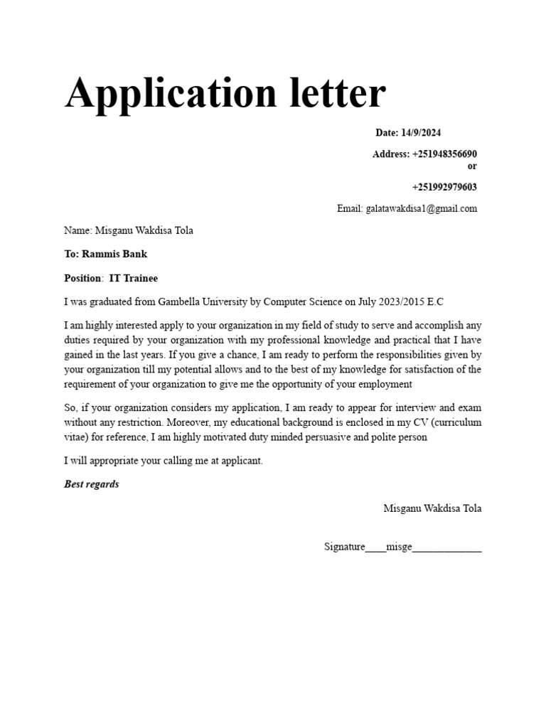 Application LT | PDF | Computing