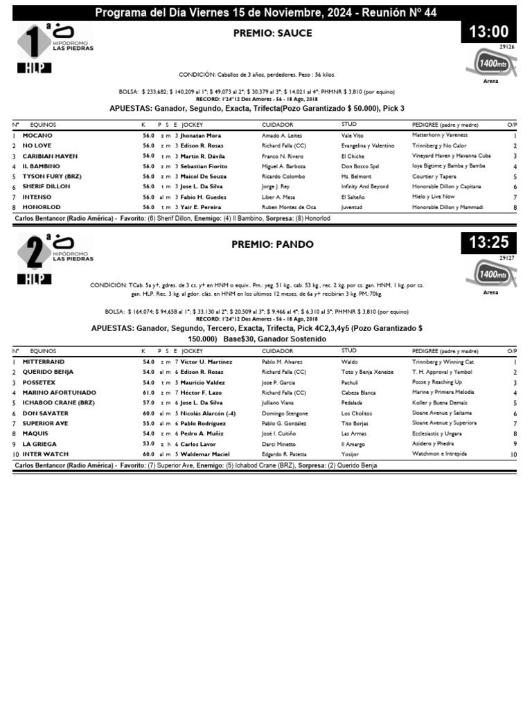 Programa L.PD 20241115 | PDF