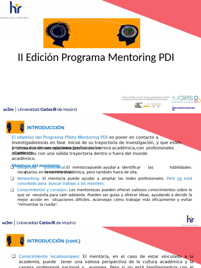 II Edición Programa Mentoring PDI UC3M | PDF | Cuestionario