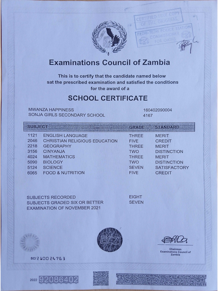Grade 12 Certificate | PDF