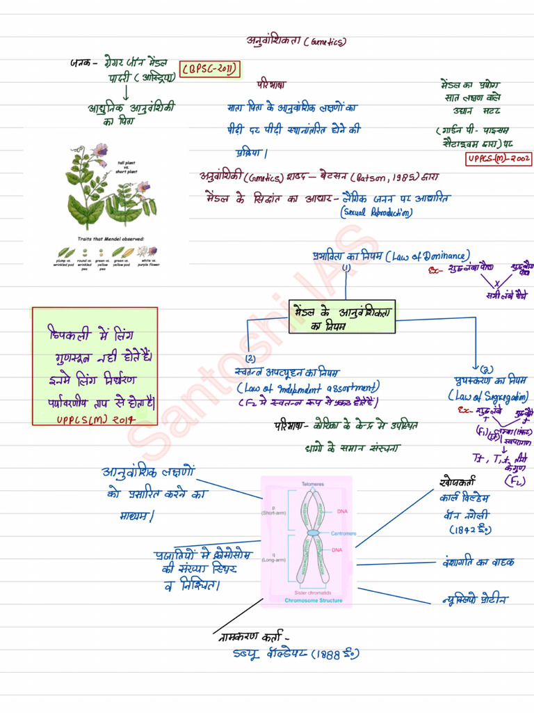 Lecture-4 Biology Genetics | PDF