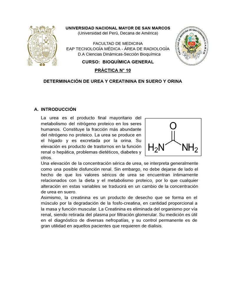 Labo N10 - DETERMINACIÓN DE LA UREA Y CREATININA | PDF | Creatinina