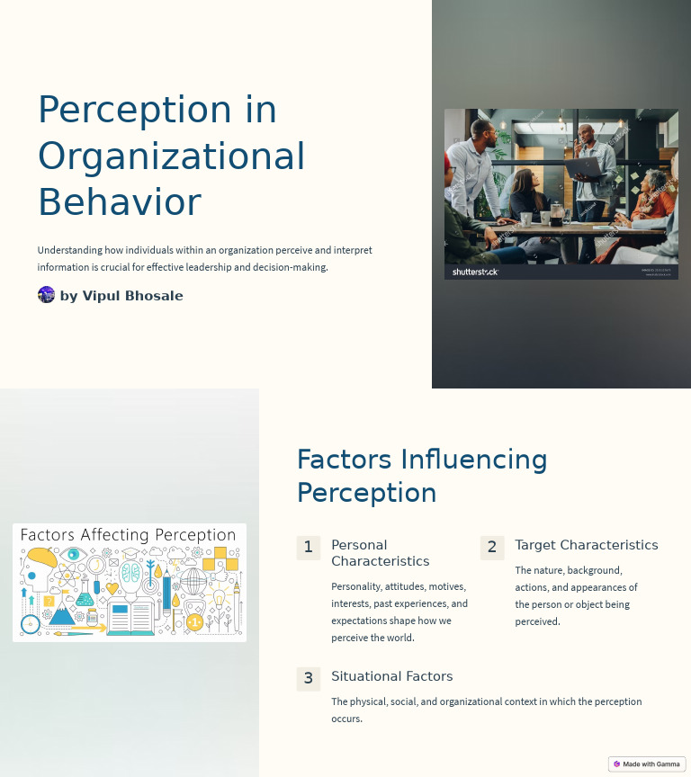 Perception in Organizational Behavior | PDF