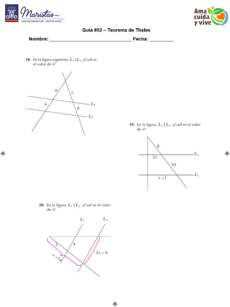 M1 - Guia 02 - Teorema de Thales | PDF