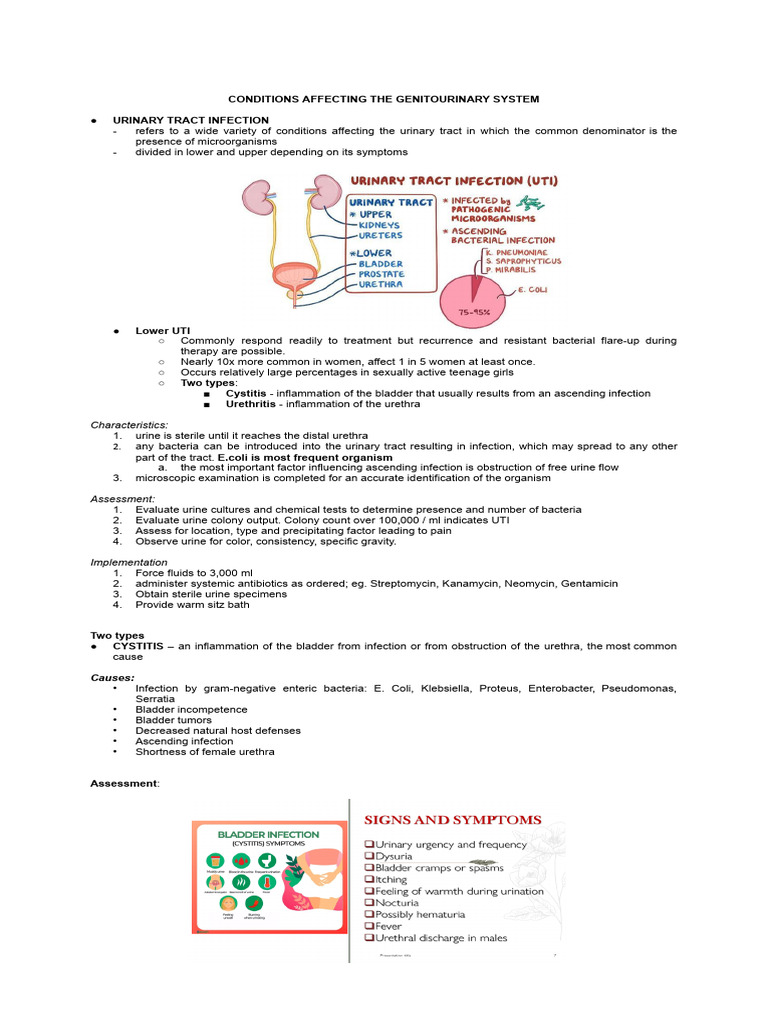 Lower Uti-1 | PDF | Urinary Tract Infection | Diseases And Disorders