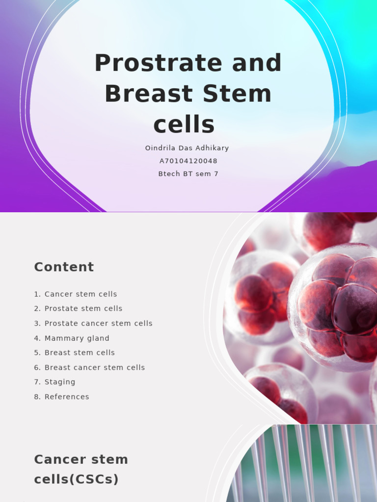 Prostate and Breast Stem Cells | PDF | Medical Specialties | Cancer