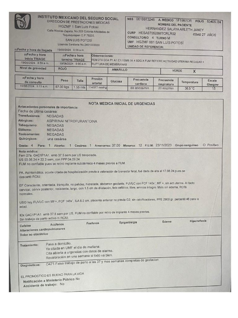 Hoja Imss Nestor | PDF