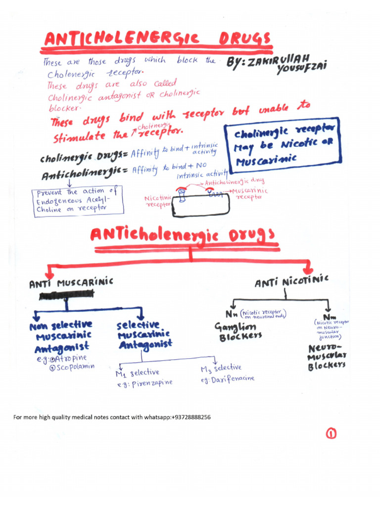 5 Anticholinergic Drugs | PDF