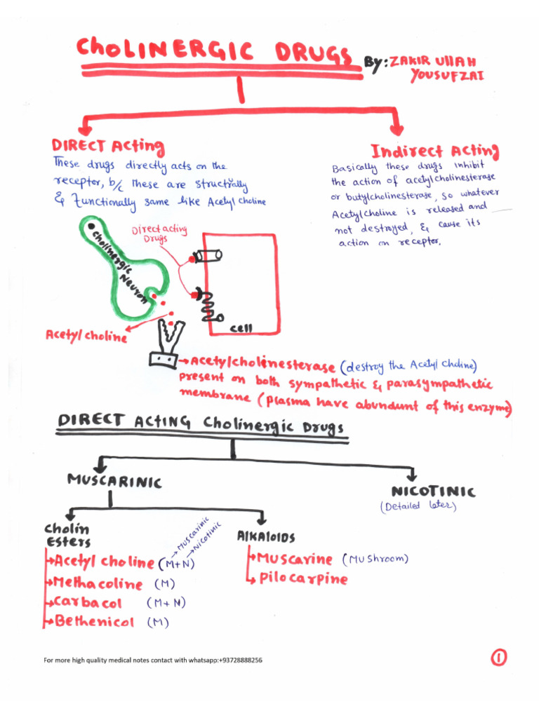 4 Cholinergic Drugs | PDF