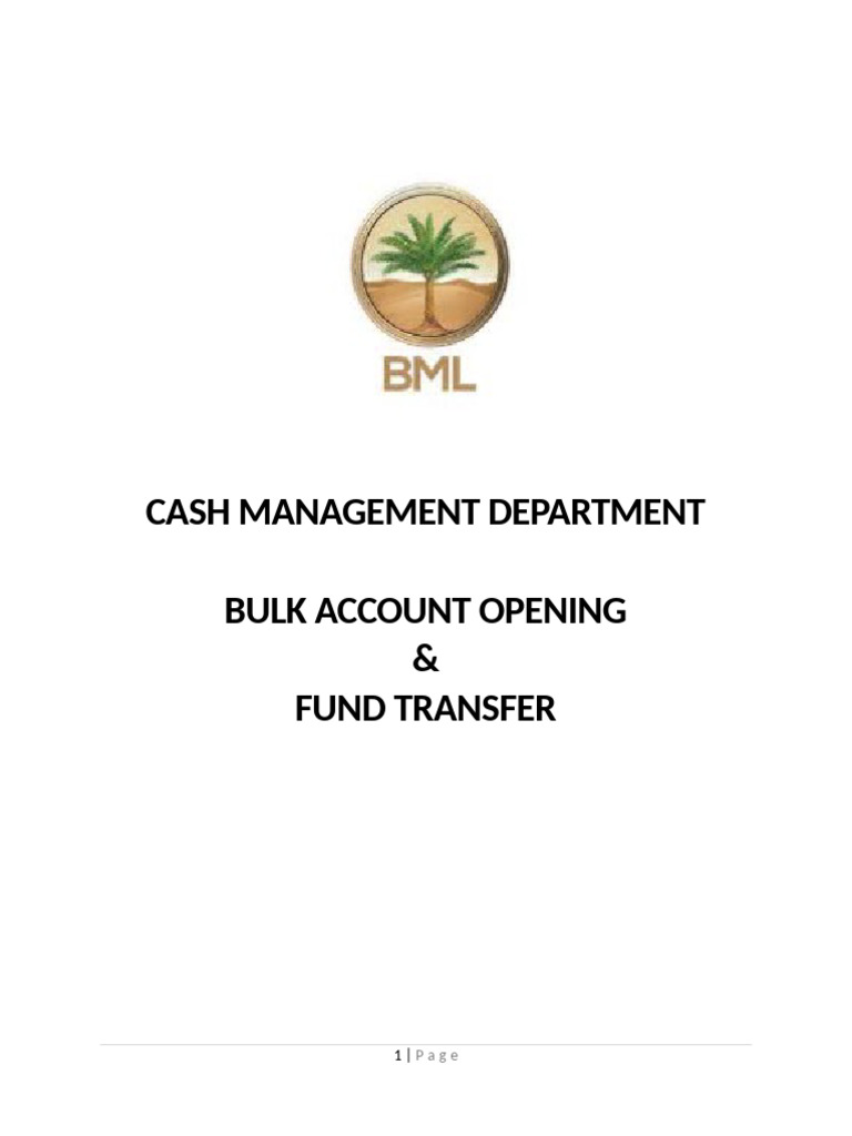 Bulk Account Opening & Fund Transfer | PDF | Computing | Software
