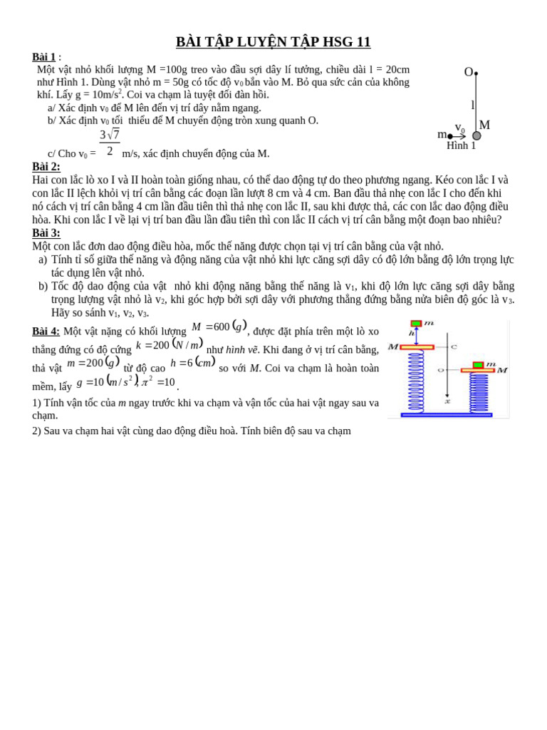 BÀI TẬP LUYỆN TẬP HSG 11 | PDF