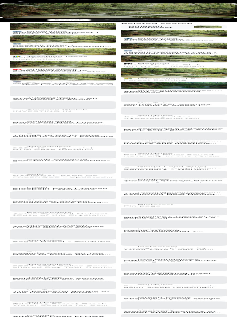 Amazon Rainforest - Google Search | PDF | Amazon Rainforest | Earth ...