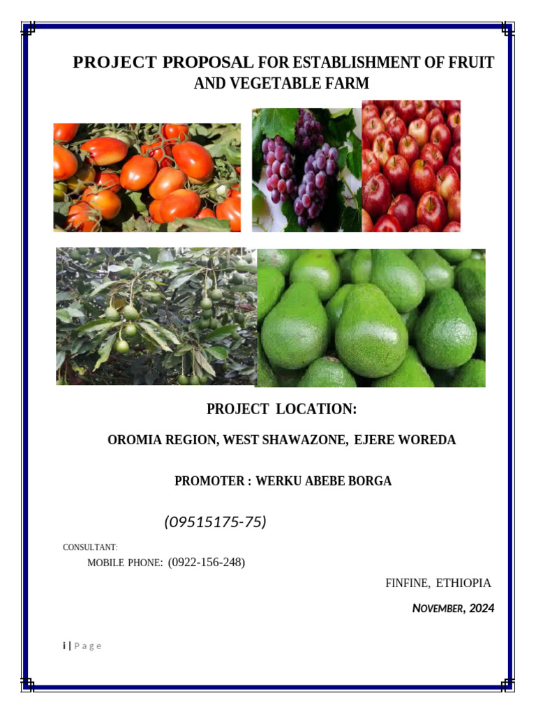 Fruit and Vegetable Farm Proposal in Ejere | PDF | Agriculture | Crop ...
