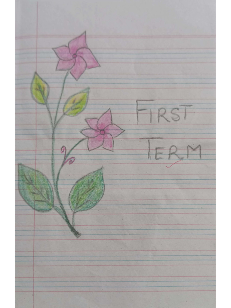 Computer Grade 5 | PDF
