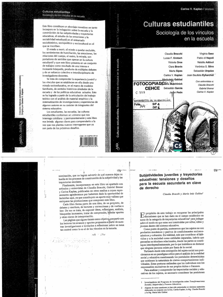 Bracchi y Gabai. Subjetividades Juveniles | PDF