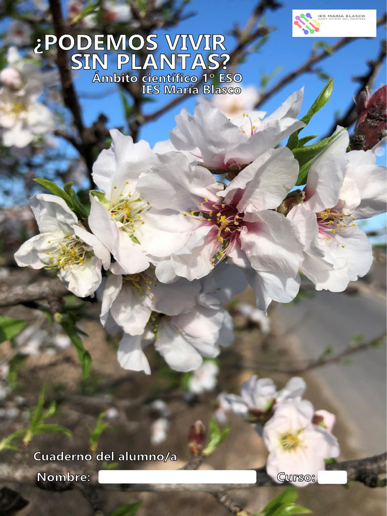 Unidad 04 Completa | PDF | Flores | Plantas