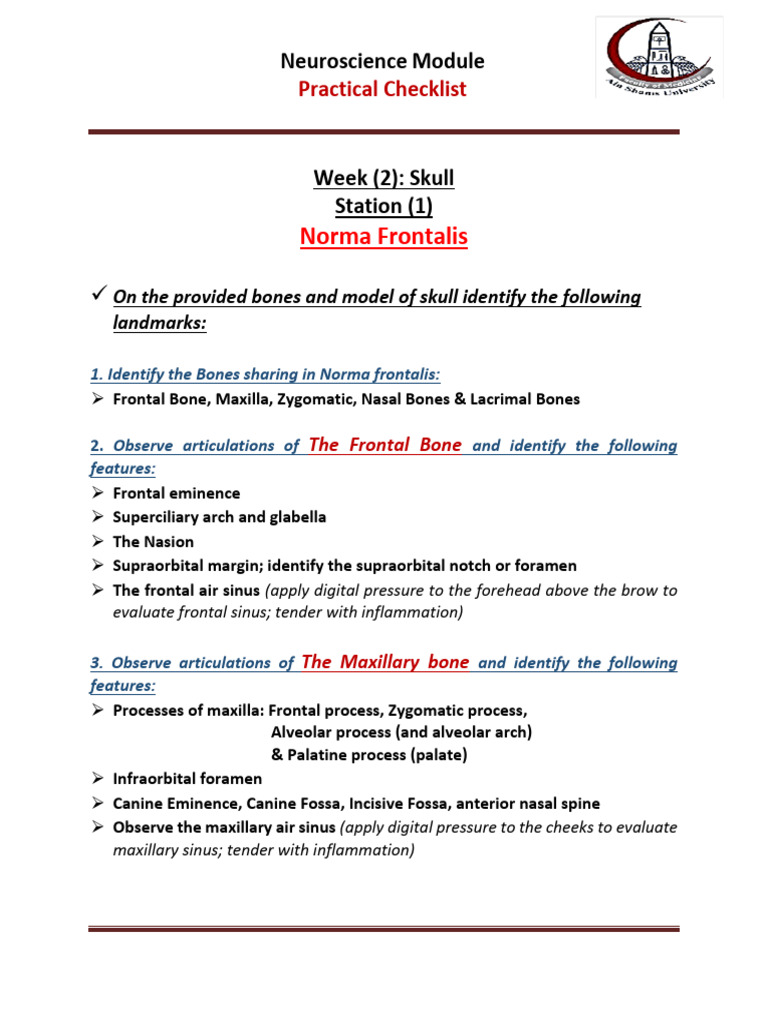CNS Week 2 Practical Chechlist | PDF | Skull | Human Head And Neck