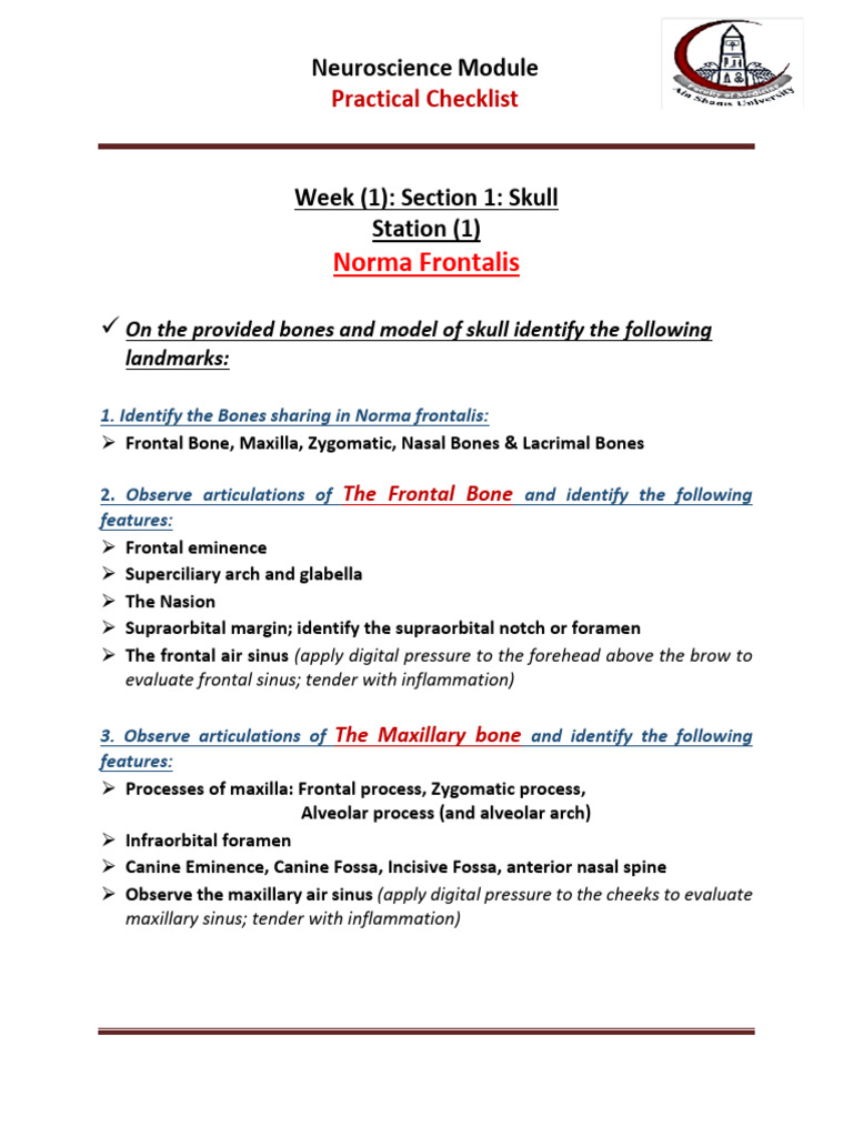 CNS Week 1 Section1 Practical Checklist | PDF | Skull | Human Head And Neck