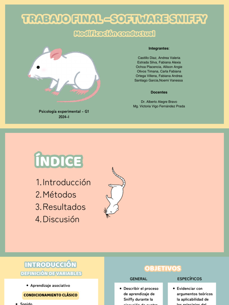 Trabajo Final - Sniffy | PDF | Software | Reforzamiento