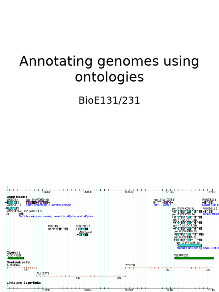 Biological On T Ologies | PDF | Cell Signaling | Gene
