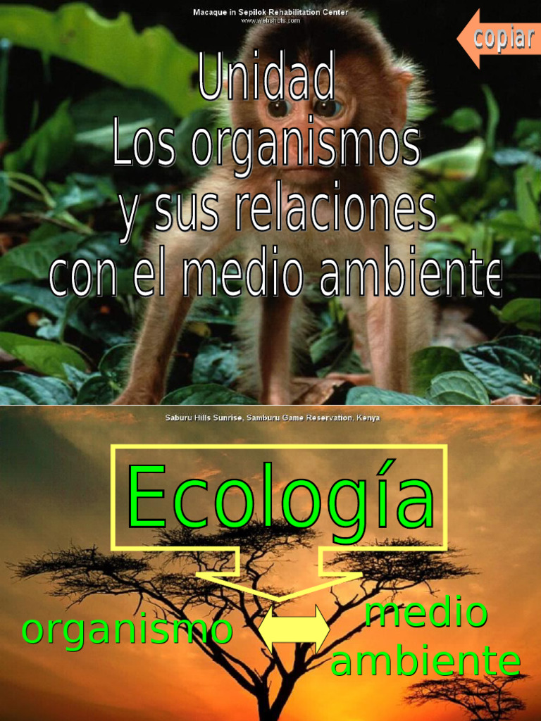 Factores del Medio Ambiente y Organismos | PDF | Ciencia y matemáticas