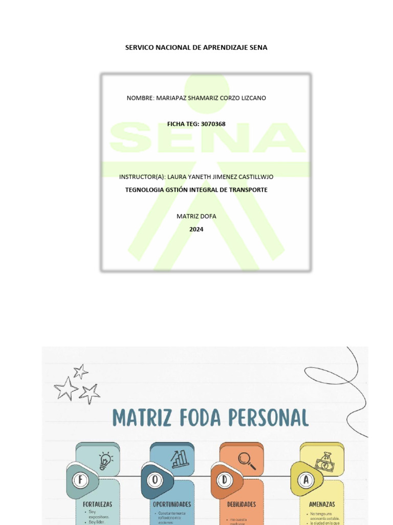 Matriz Dofa | PDF | Negocios