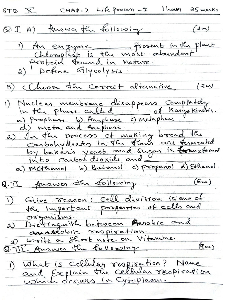 STD X Sci2 Chap 2 Cmel, Anne | PDF