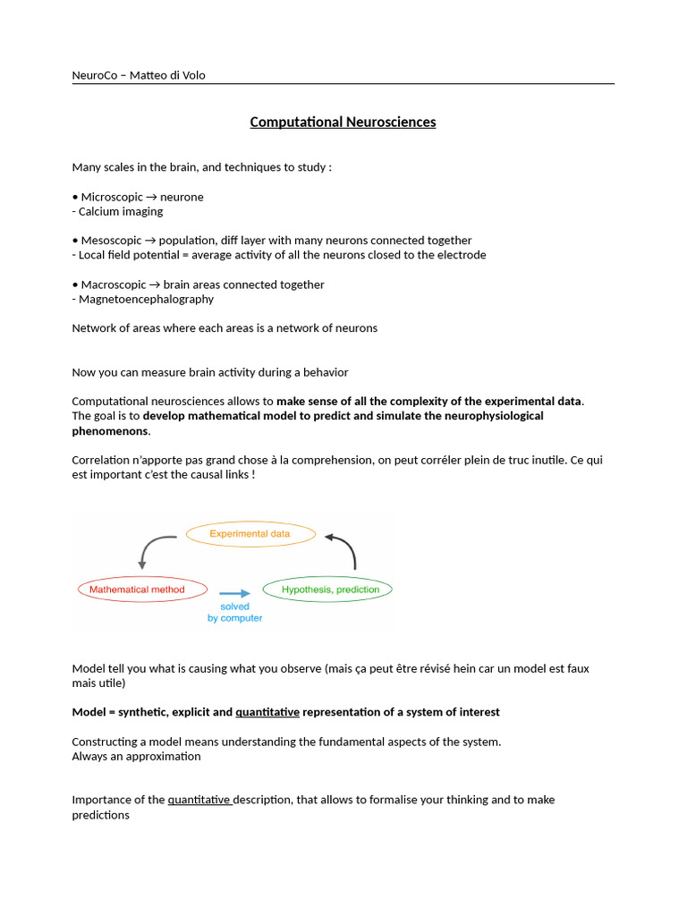 Computational Neurosciences Pdf Neural Oscillation Brain