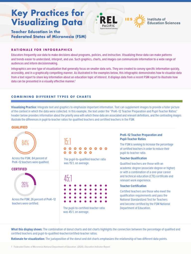 REL PA Data Visualization | PDF | Infographics | Information