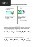 Video Recap Comparing Photosynthesis and Cellular Respiration by Amoeba ...