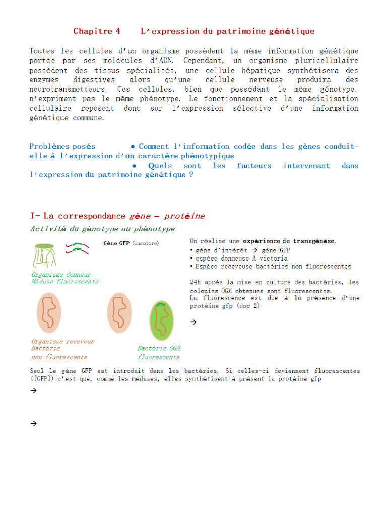 Chap4 Cours 1 | PDF