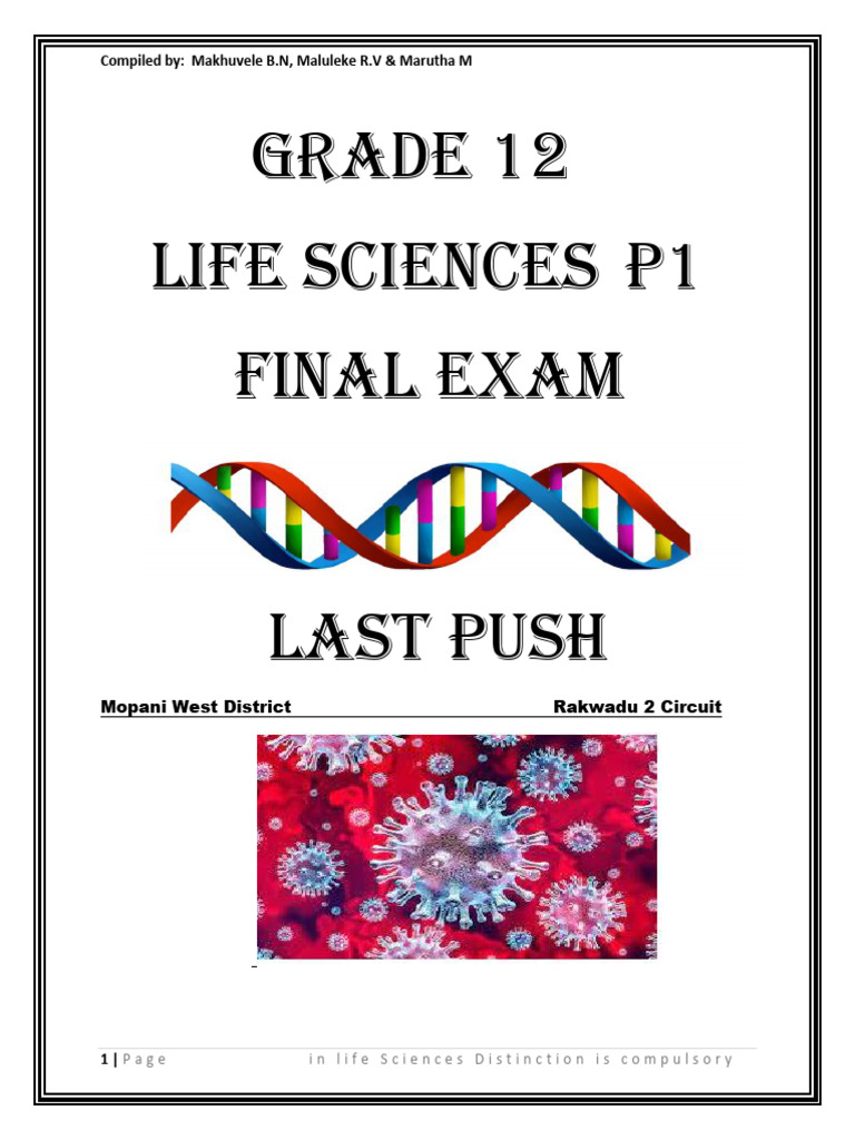 Grade 12 Life Sciences Final Exam Guide | PDF | Neuroscience