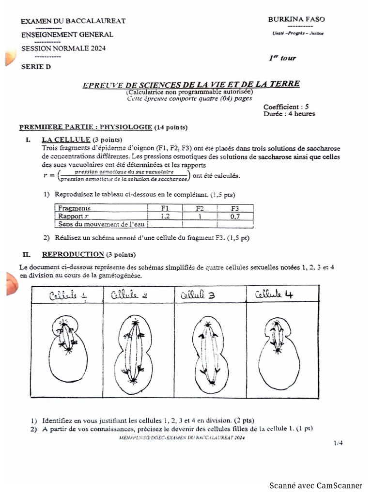 BAC 2024 1er Tour SVT TleD | PDF