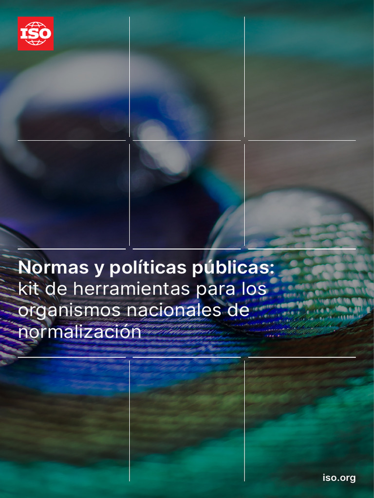 ISO - Public Policy Toolkit Es | PDF | Organización internacional para ...