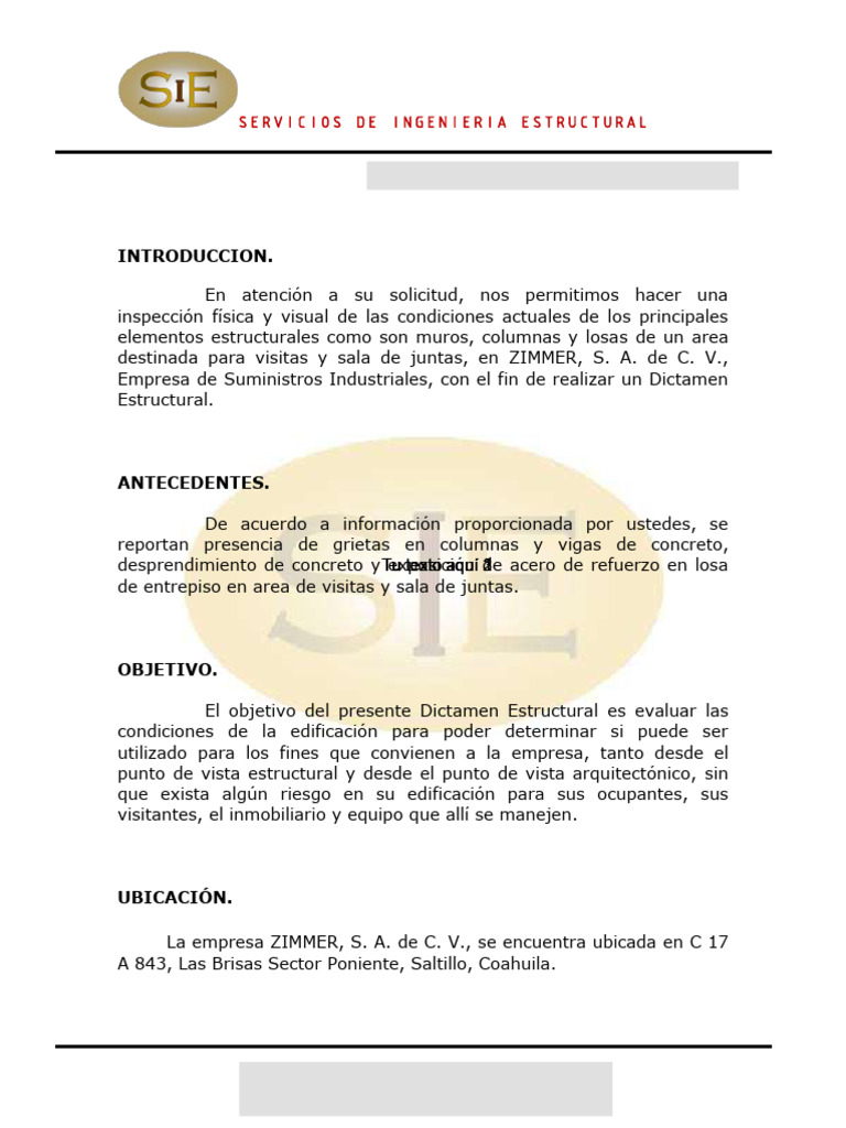 Dictamen y Peritaje Estructural Zimmer | PDF | Viga (Estructura) | Hormigón