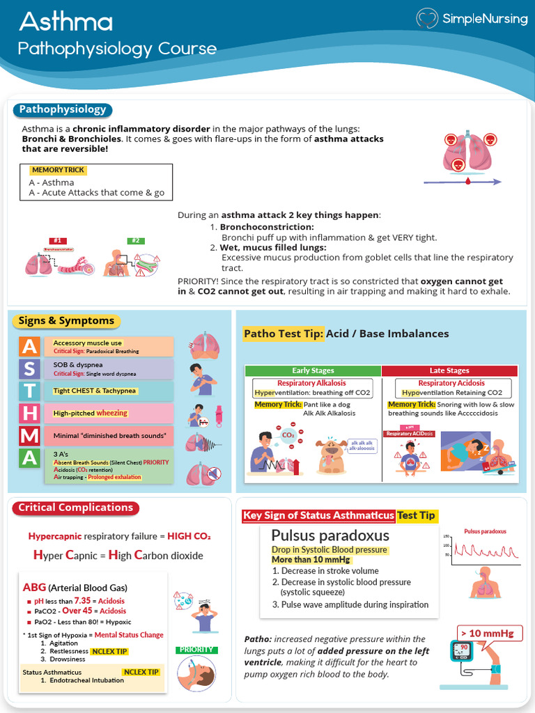 Asthma - Pathom, Signs - Comlications | PDF | Breathing | Respiratory ...